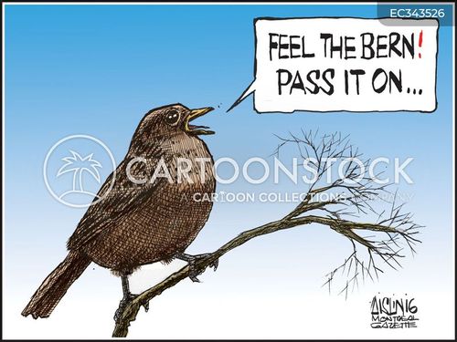 Bernie Bird Cartoons and Comics - funny pictures from CartoonStock