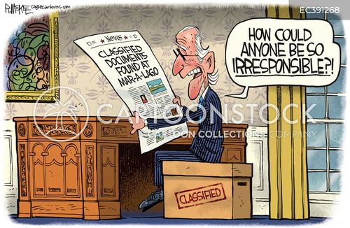 Documentatie Cartoon