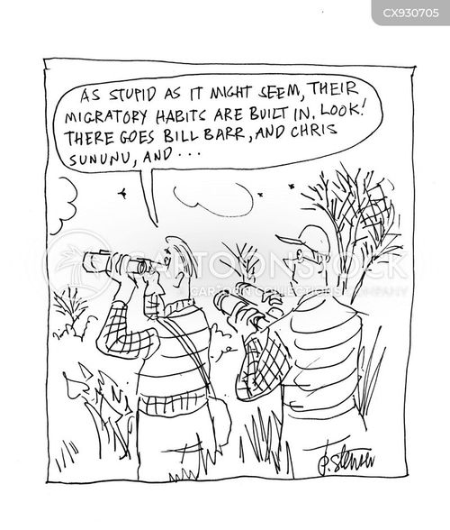Bill Cartoons and Comics - funny pictures from CartoonStock