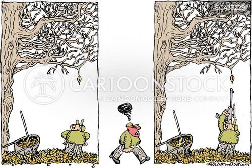 Fighting In Autumn Cartoons and Comics - funny pictures from CartoonStock