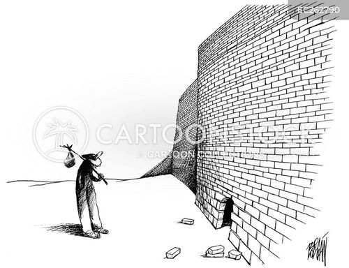 Border Reform Cartoons and Comics - funny pictures from CartoonStock