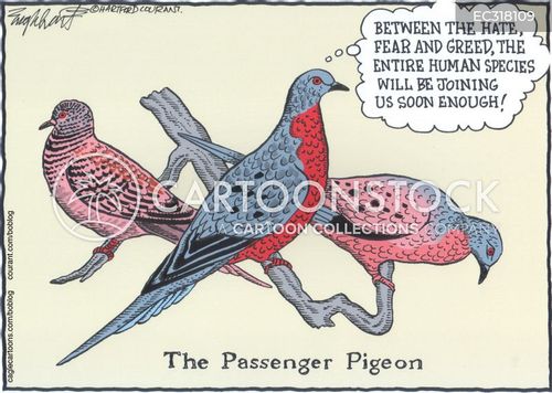 Boston Marathon Bombing Cartoons and Comics - funny pictures from ...