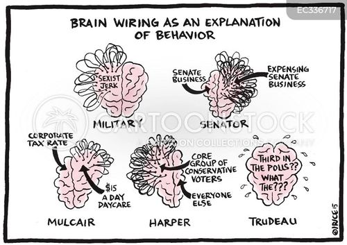Brain Plasticity Cartoons and Comics - funny pictures from CartoonStock