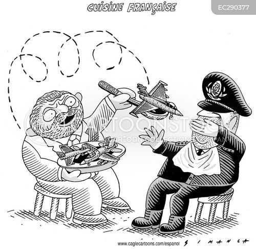 French Rafale Jet Cartoons and Comics - funny pictures from CartoonStock