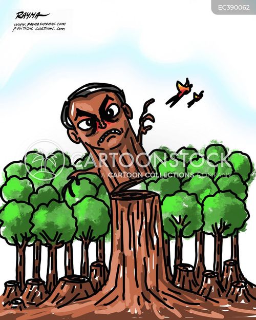 St Amazon Cartoons and Comics - funny pictures from CartoonStock