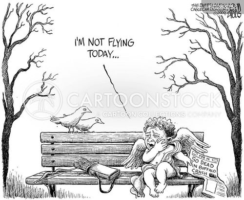 Buffalo Crash Cartoons and Comics - funny pictures from CartoonStock