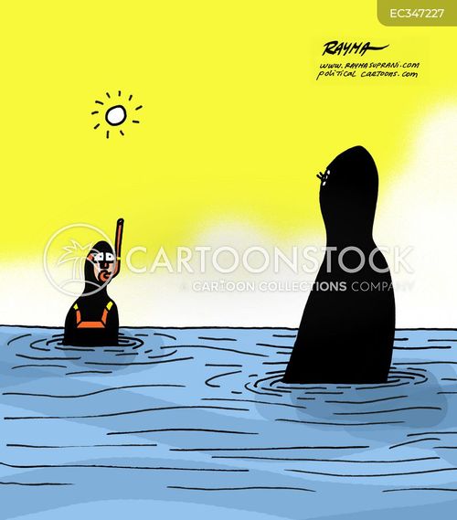 Swimwear Fashion Cartoons and Comics - funny pictures from CartoonStock