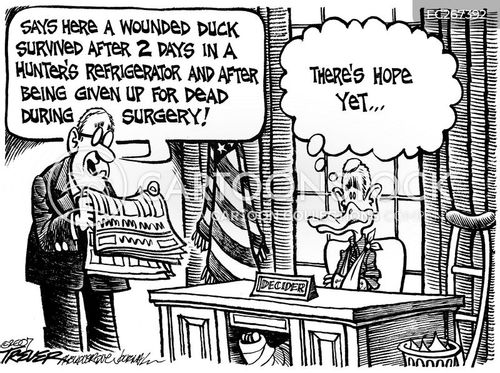 Wounded Duck Cartoons and Comics - funny pictures from CartoonStock