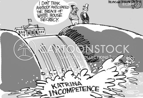 Failed Leadership Cartoons and Comics - funny pictures from CartoonStock