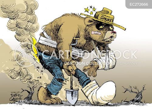 Smokey Bear Cartoons and Comics - funny pictures from CartoonStock
