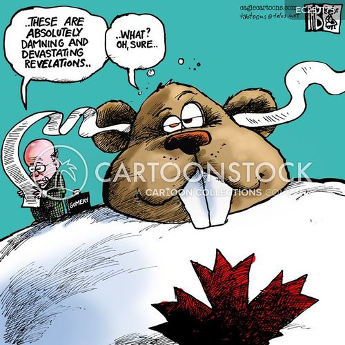 Toque Cartoons and Comics - funny pictures from CartoonStock