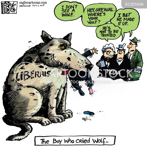 Michelle Wolf Cartoon Matthew Wolf