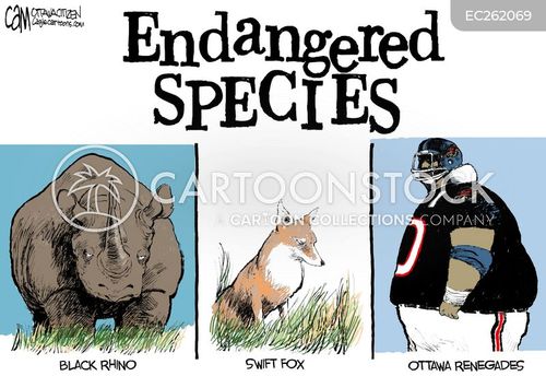 Species Preservation Cartoons and Comics - funny pictures from CartoonStock