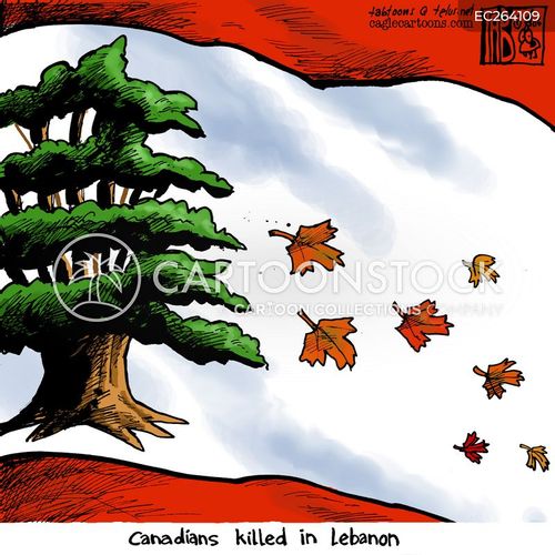 Hizbollah Cartoons and Comics - funny pictures from CartoonStock