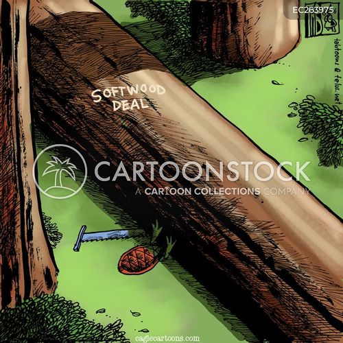 Forest Products Cartoons and Comics - funny pictures from CartoonStock