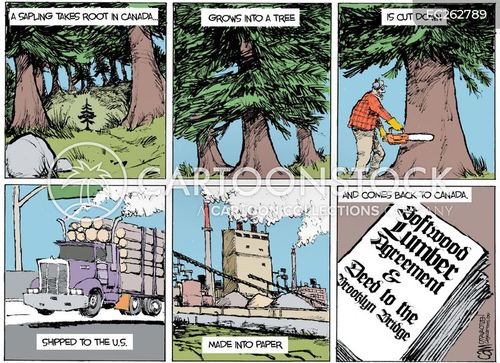 Sustainable Forestry Cartoons and Comics - funny pictures from CartoonStock