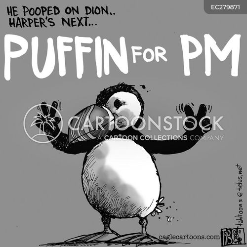 Puffin Cartoons and Comics - funny pictures from CartoonStock