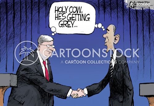 Silver Fox Cartoons and Comics - funny pictures from CartoonStock