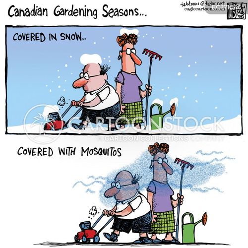 Canadian Fashion Cartoons and Comics - funny pictures from CartoonStock