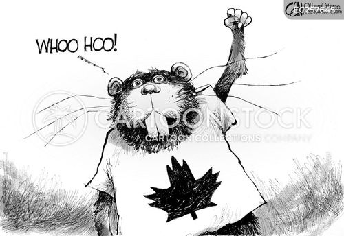 Canada Cartoons and Comics - funny pictures from CartoonStock