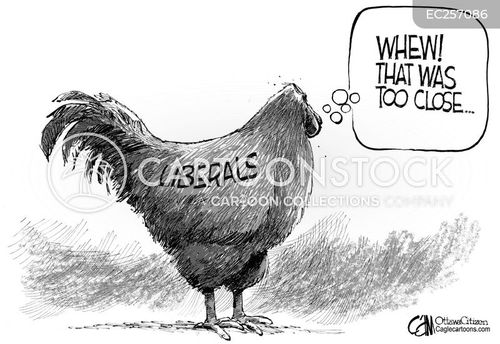 Indigenous Rights Cartoons and Comics - funny pictures from CartoonStock