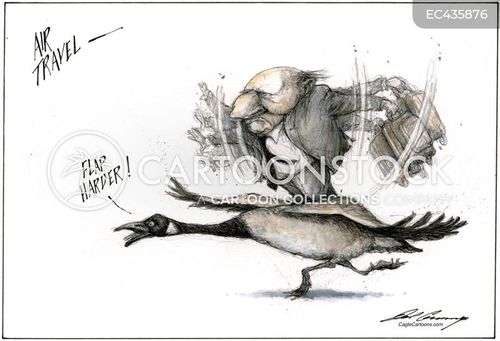 Air Travel Cartoons and Comics - funny pictures from CartoonStock