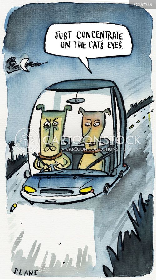 Night Driving Cartoons and Comics - funny pictures from CartoonStock