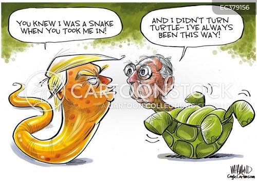 Snapping Turtle Cartoons and Comics - funny pictures from CartoonStock