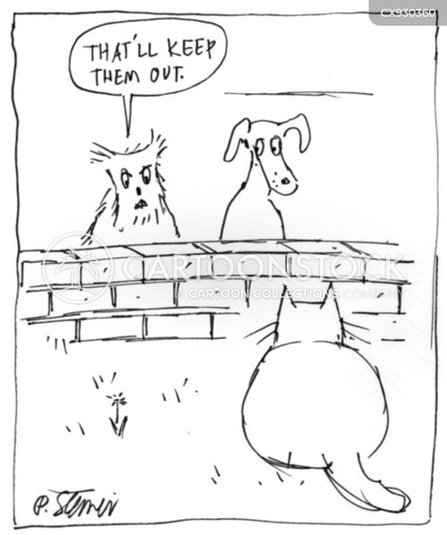 Cat Boundaries Cartoons and Comics - funny pictures from CartoonStock