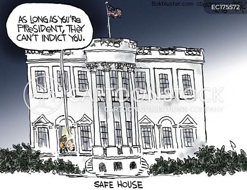 White House Activity Cartoons and Comics - funny pictures from CartoonStock