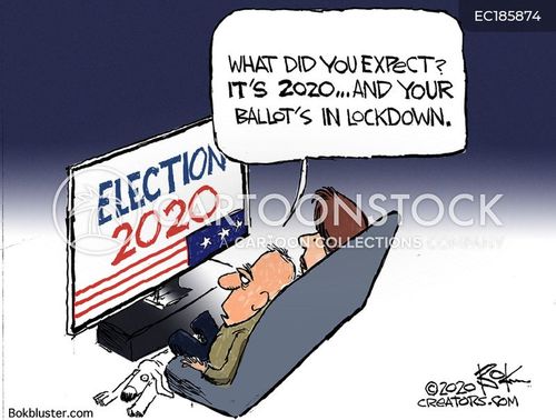 2020 Election Cycle Cartoons and Comics - funny pictures from CartoonStock