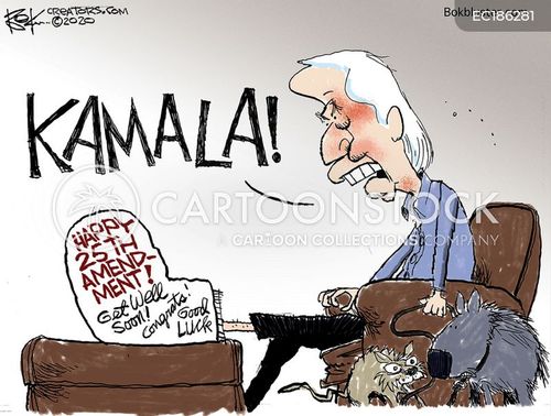 Amendment 25 Cartoons