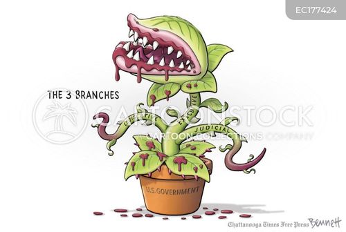 Three Branches Of Government Cartoons and Comics - funny pictures from ...