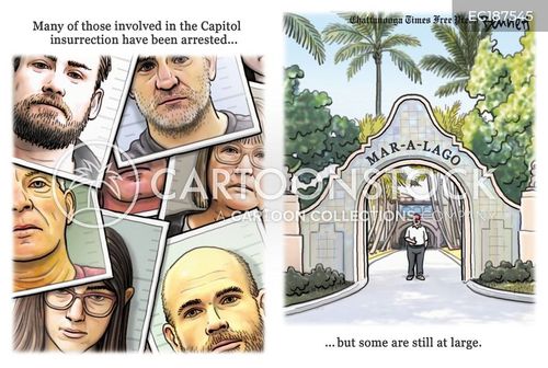 Capitol Insurrection Cartoons and Comics - funny pictures from CartoonStock
