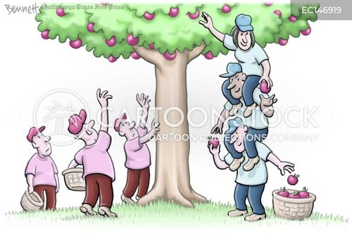 Collaborative Efforts Cartoons and Comics - funny pictures from ...