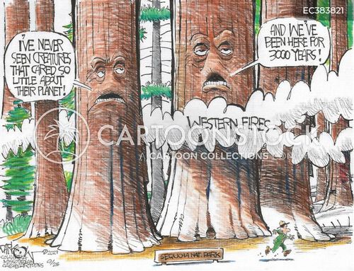 Tree Conservation Cartoons and Comics - funny pictures from CartoonStock