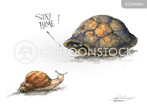 Snapping Turtle Cartoons and Comics - funny pictures from CartoonStock