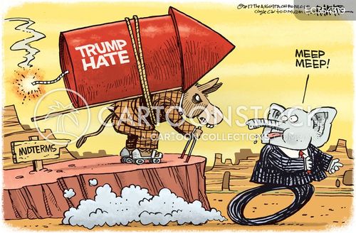 Midterm Election Results Cartoons and Comics - funny pictures from ...