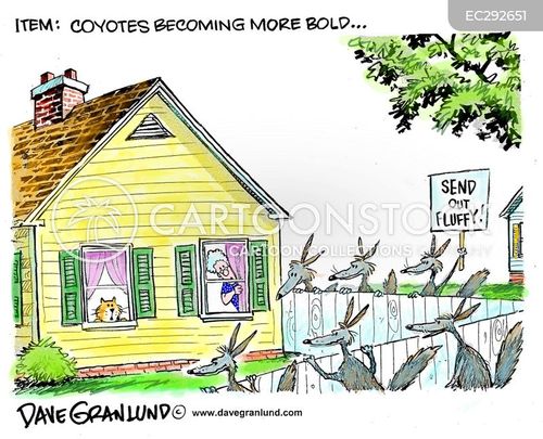 Jackal Cartoons and Comics - funny pictures from CartoonStock
