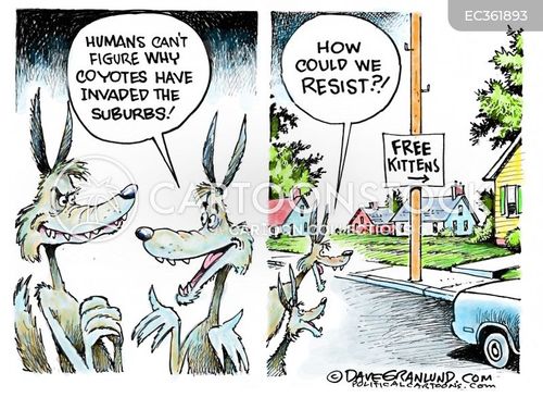 Jackal Cartoons and Comics - funny pictures from CartoonStock