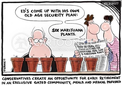 Security Plans Cartoons and Comics - funny pictures from CartoonStock