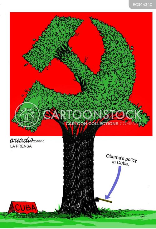 Caribbean Policies Cartoons and Comics - funny pictures from CartoonStock