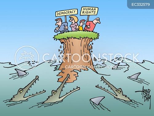 Democratic Norms Cartoons and Comics - funny pictures from CartoonStock