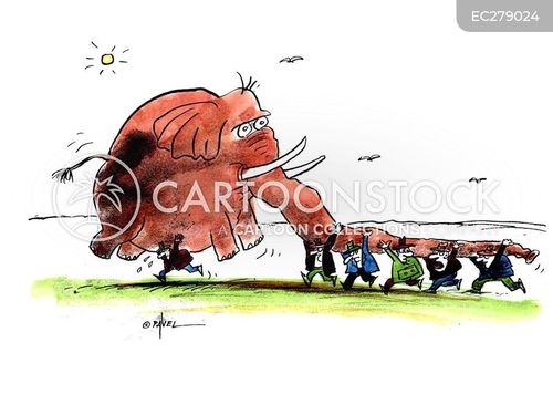 Democratic Norms Cartoons and Comics - funny pictures from CartoonStock