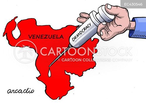 Democratic Values Cartoons and Comics - funny pictures from CartoonStock