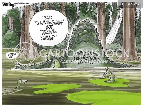 Swamp Humor Cartoons and Comics - funny pictures from CartoonStock