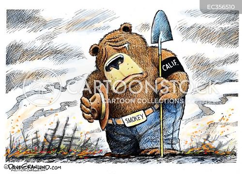 Fire Damage Assessment Cartoons and Comics - funny pictures from ...