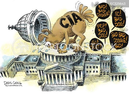 Oversight Committee Cartoons and Comics - funny pictures from CartoonStock