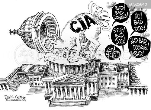 Cia Analysis Cartoons and Comics - funny pictures from CartoonStock