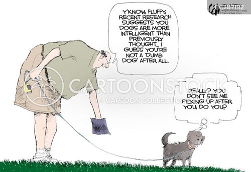 Research Paper Cartoons and Comics - funny pictures from CartoonStock